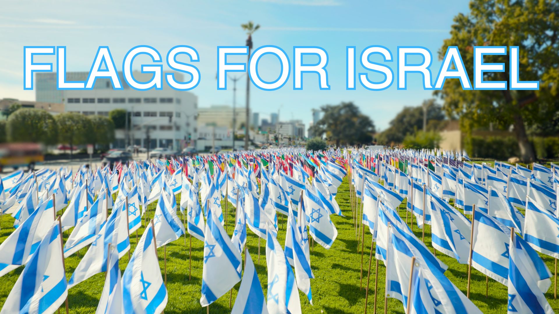 Group 11 Sponsors “Flags for Israel” Display to Commemorate the Victims ...